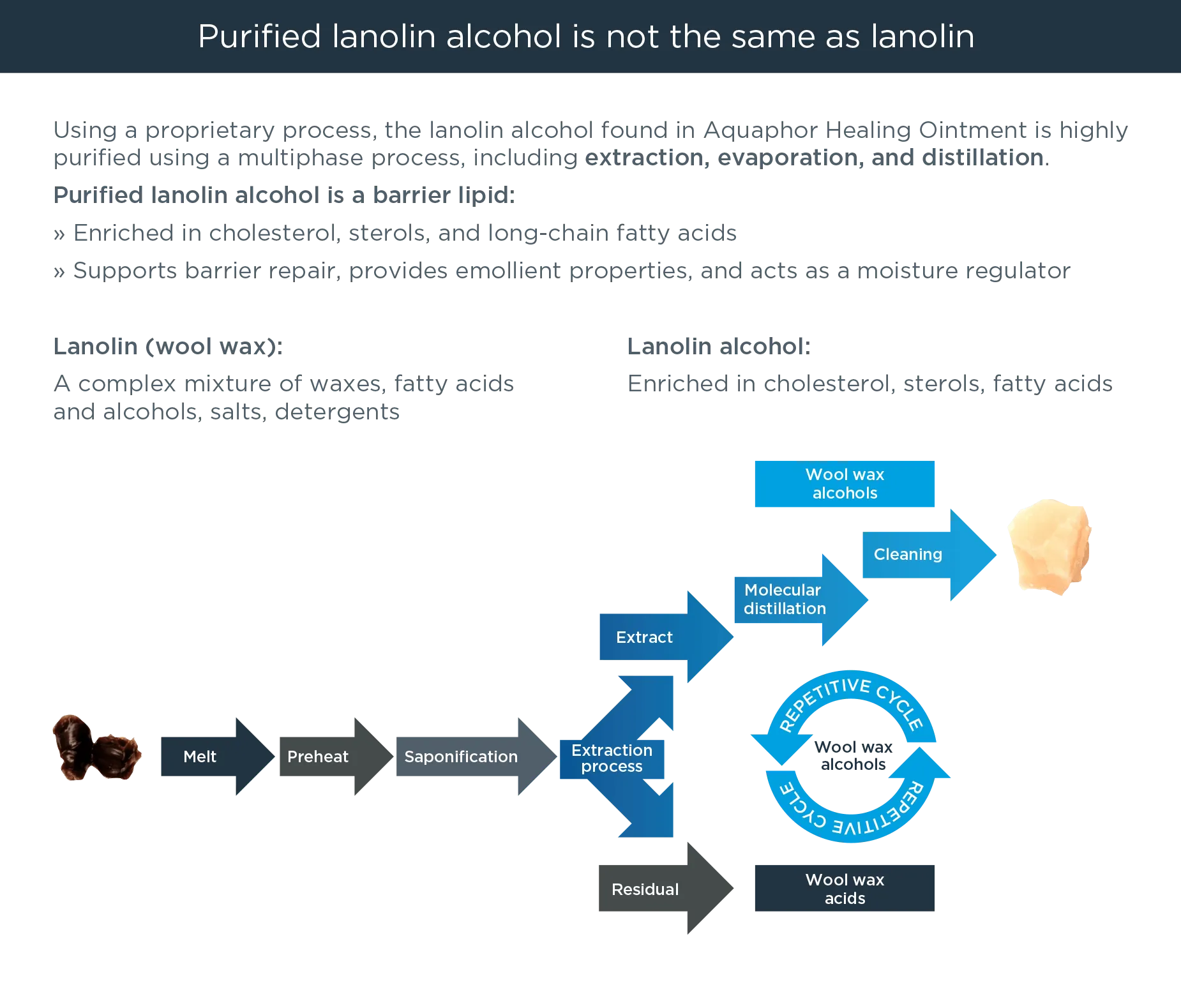 Showing Lanolin purification process