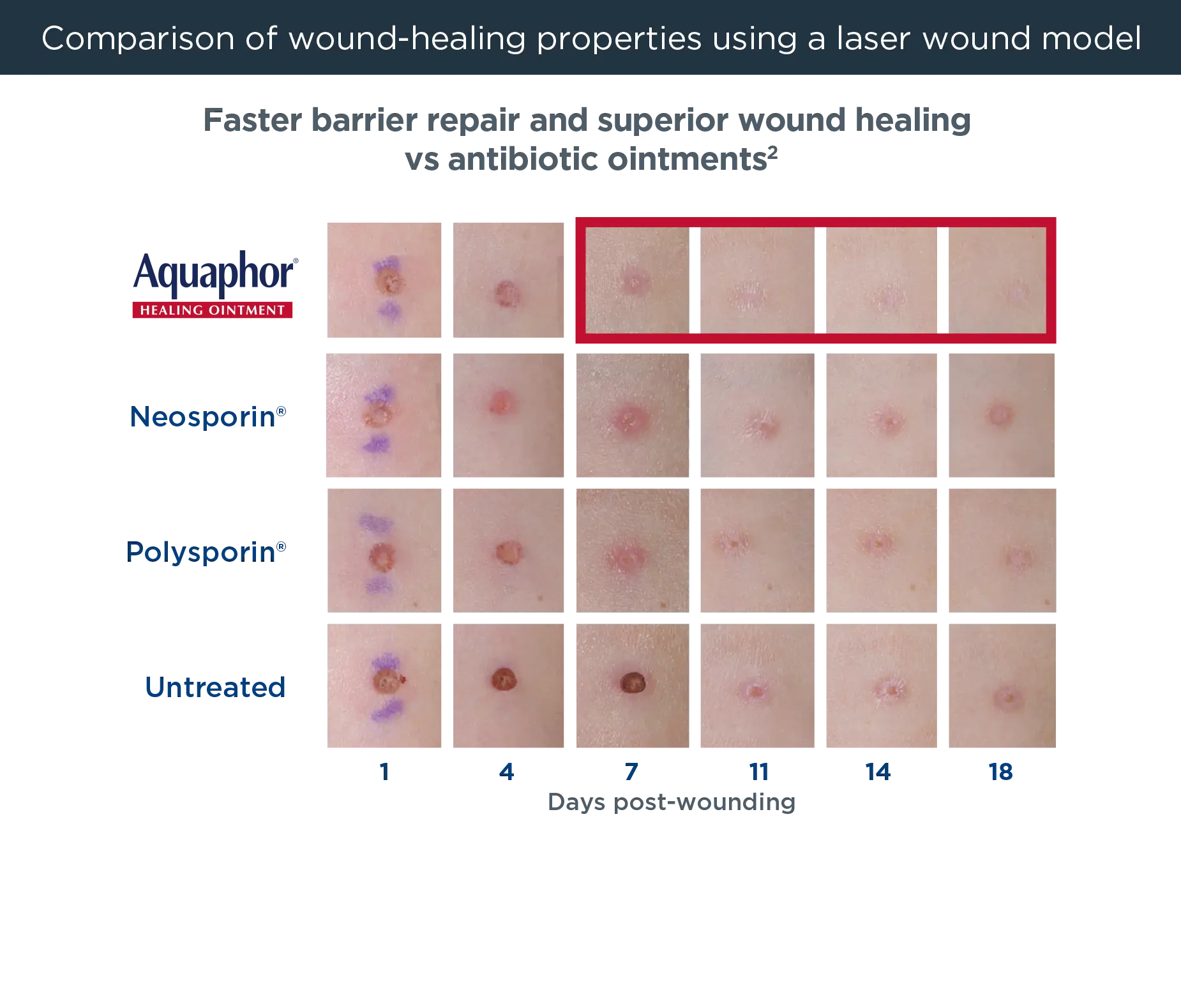 Faster barrier repair and superior would healing vs antibiotic ...