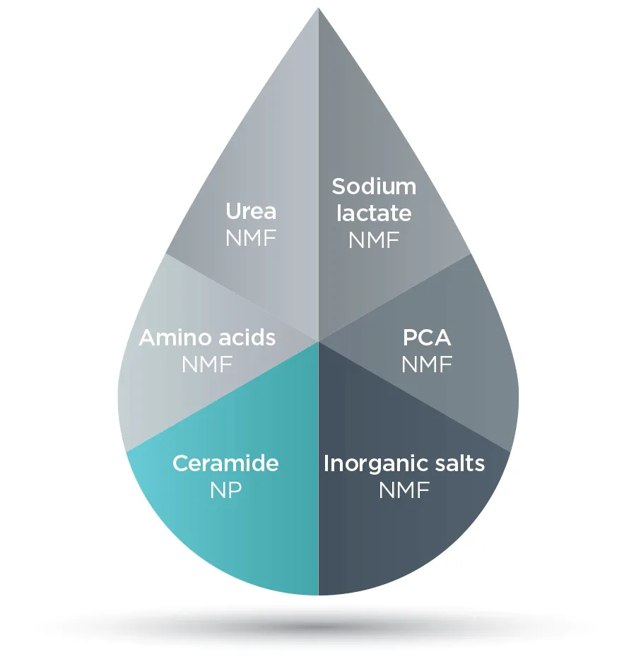 Dry Skin Data Visual Image